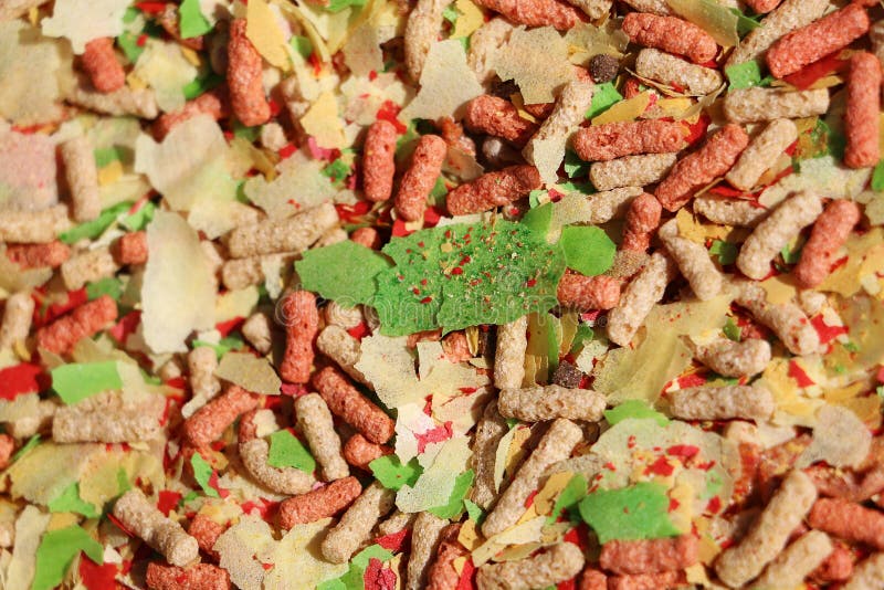 A Close Up of Colorful Fish Feed Stock Photo - Image of animal ...