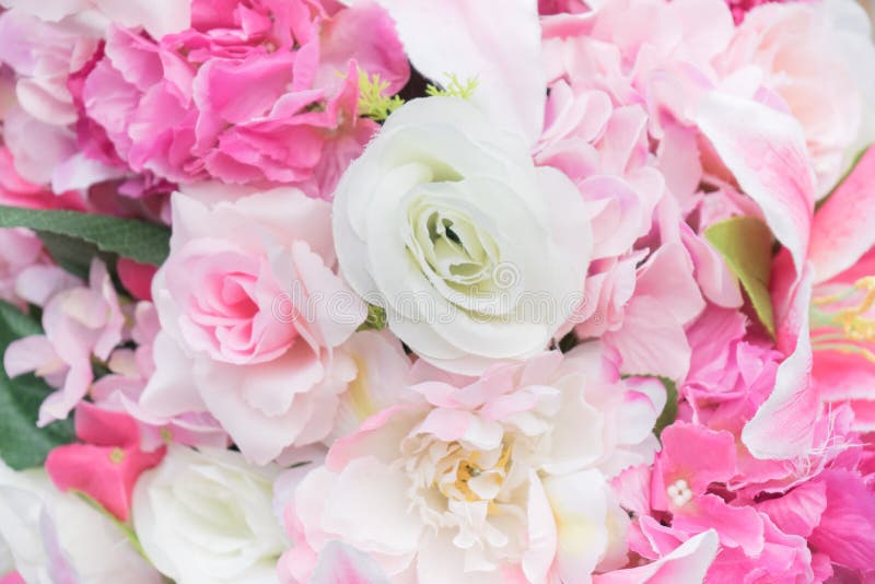 Close Up Colorful Flower Texture Stock Image - Image of calming, spring ...