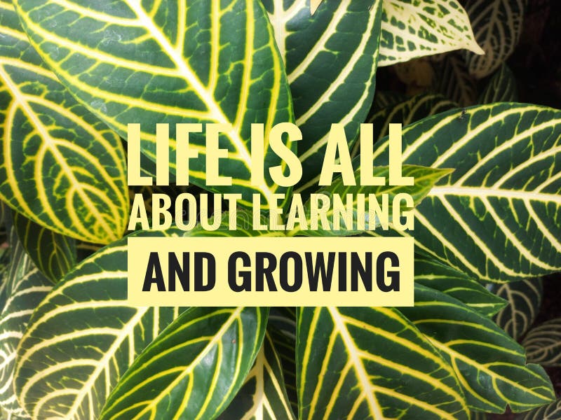 Close Up of Colorful Leaves with Motivational Quotes Stock Image ...