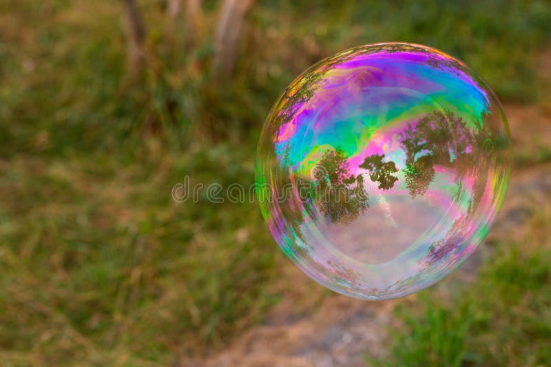 Close-up of a Colorful Soap Bubble Reflecting Trees and Greenery in a ...
