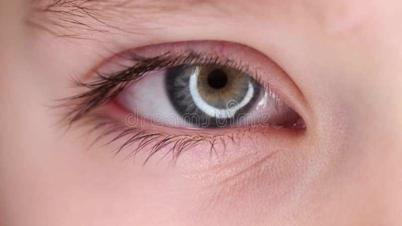 Close Up of Coloured Eye of Kid Blinking Slowly Stock Video - Video of ...