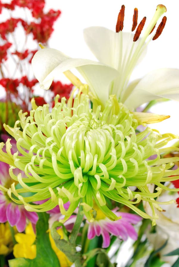 Close-up of Colourful Summer Flowers Mix. Stock Image - Image of blue ...