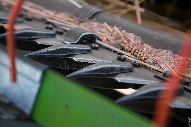 Close Up of Combine Harvester Header Stock Photo - Image of farming ...
