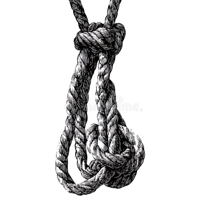 Close-up of a Complex Rope Knot, Isolated on White Stock Illustration ...
