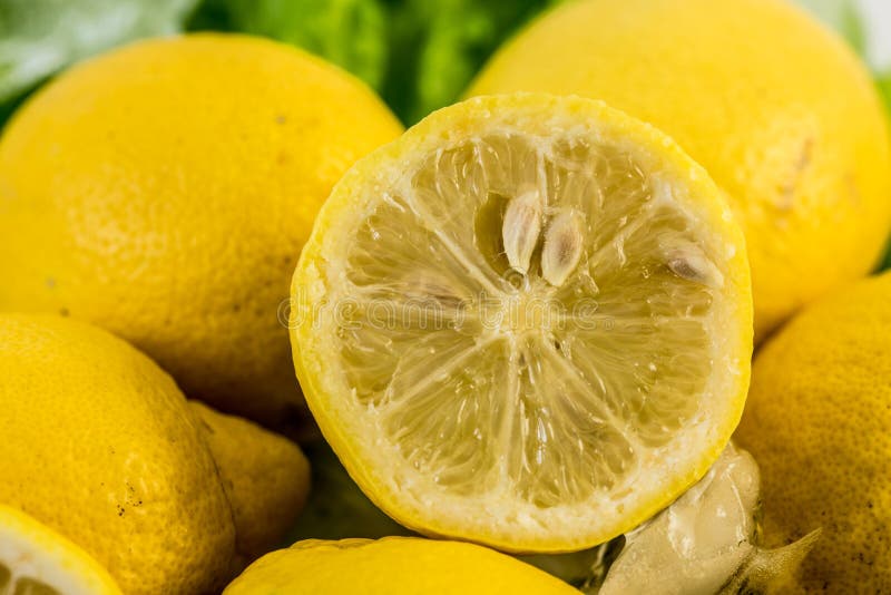Close Up Composition of Fresh Cut Lemons Stock Image - Image of sliced ...
