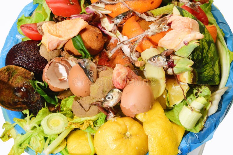 Close up of a compost, stock image. Image of management - 130835395