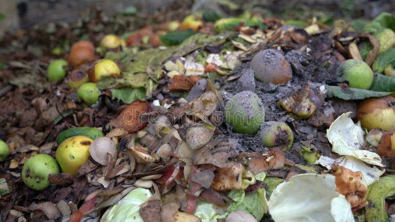 Close-up of a Compost Heap with Decaying Fruit, Vegetables, and Leaves ...