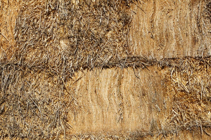 Compressed Straw Plant Background Stock Photo - Image of ecological ...