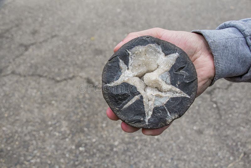 Close up concretion stone stock photo. Image of gemstone - 88895504