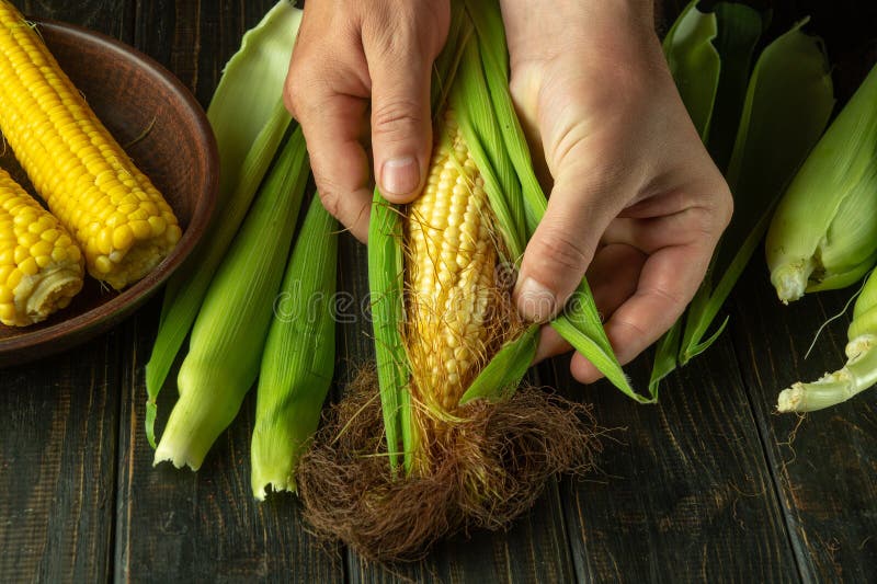 Close-up of a Cook Hands while Peeling Ripe Corn Cob. Cooking Maize on ...