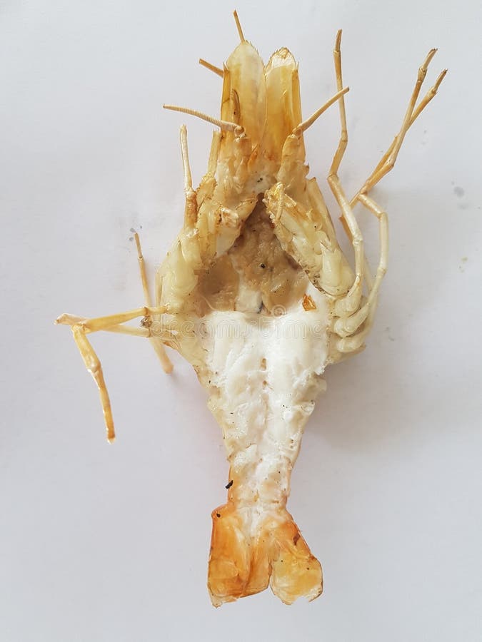 Close-Up of Cooked Split Shrimp Shell on White Background Stock Photo - Image of shell, process ...