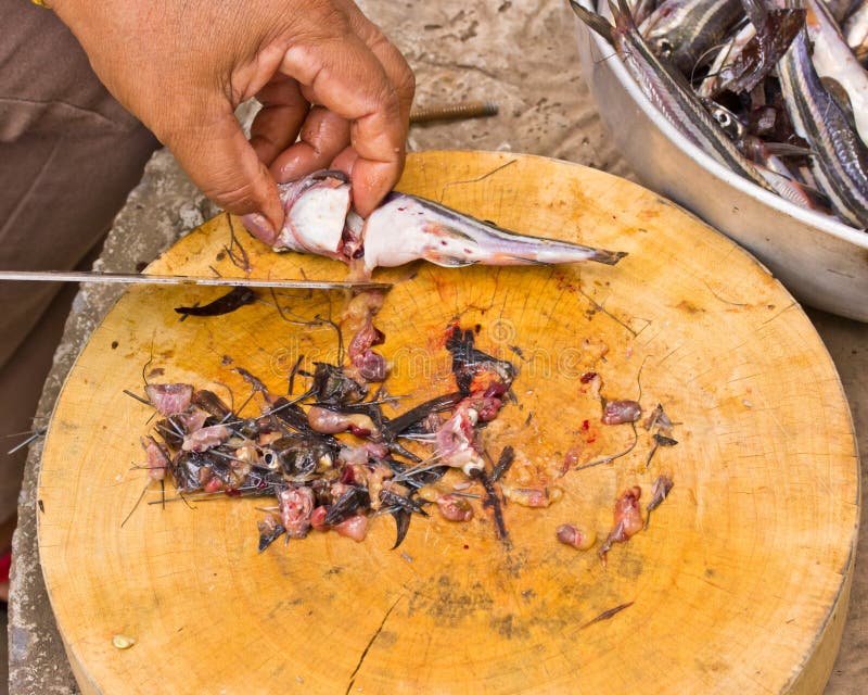 Close up cooking a fish stock image. Image of table, ingredient - 39132417