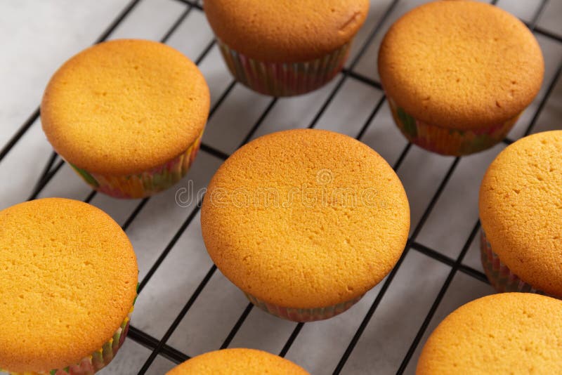 Cupcakes and Wire Cooling Rack Stock Image - Image of cupcake, wire ...