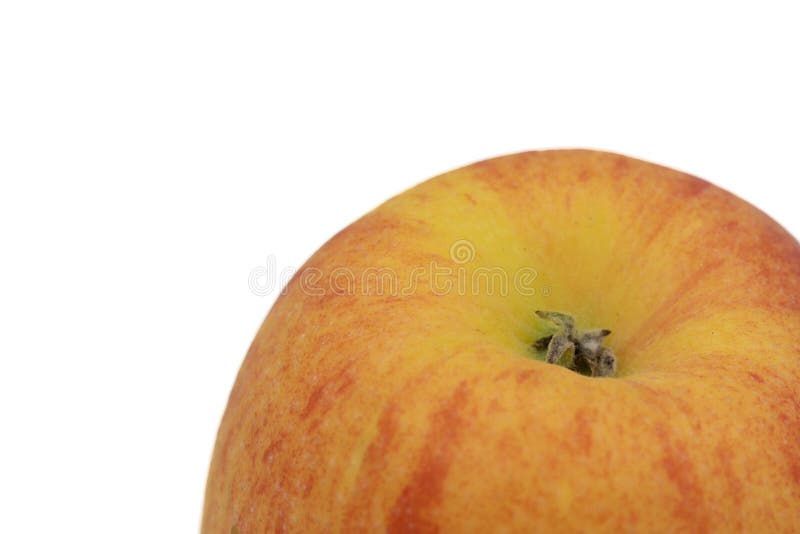 A Close Up of the Core on the Bottom of a Gala Apple Stock Photo ...