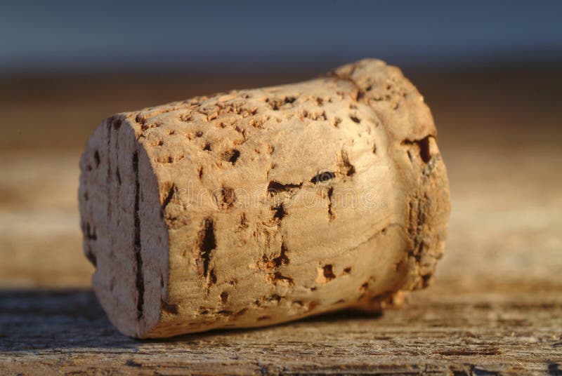 Close up of a Cork. stock photo. Image of beverages, cork - 5556474