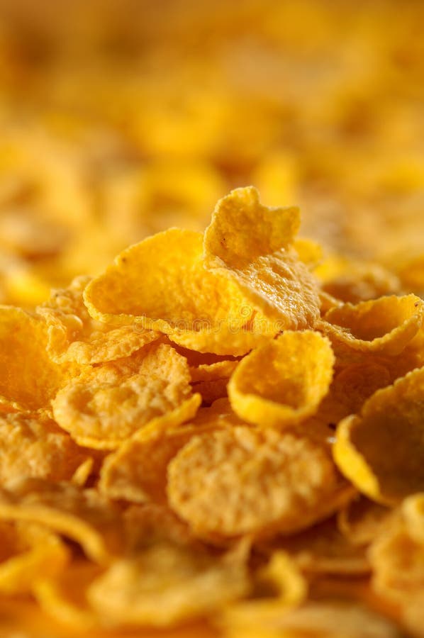 Close up of bee stock image. Image of insect, close, foot - 7094907