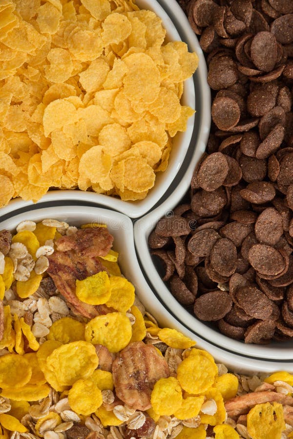 Close up cornflakes stock photo. Image of meal, close - 31135102