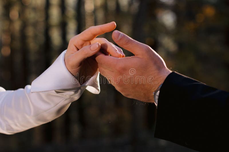 Close-up of a Couple Holding Hands Outdoors, Symbolizing Love and ...
