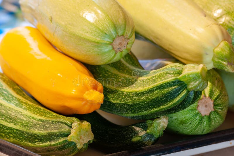 Close-up of Courgettes of Different Kinds on the Table Stock Photo ...