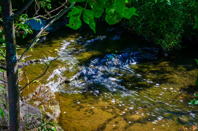 Close-up of a Covered Shallow Stream Flowing Over Rocks Stock Image ...