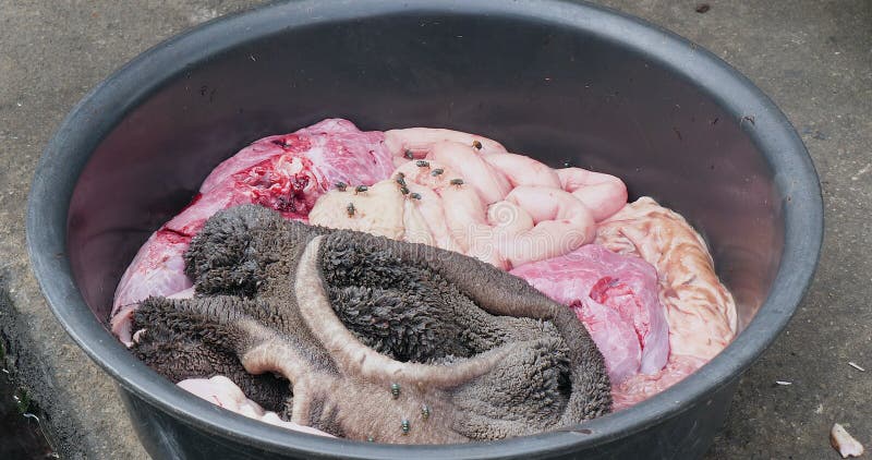 The Cow S Organs in a Plastic Basin Stock Footage - Video of heart ...