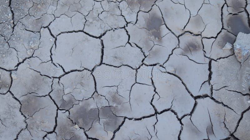 A Close Up of a Cracked Ground with a Few Cracked Mud Stock Photo ...