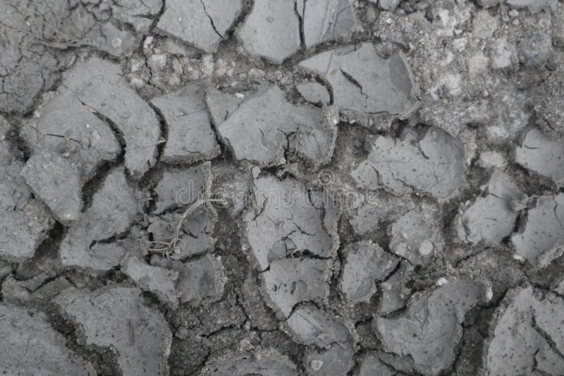A Close Up of a Cracked Ground with a Few Cracked Mud Stock Image ...