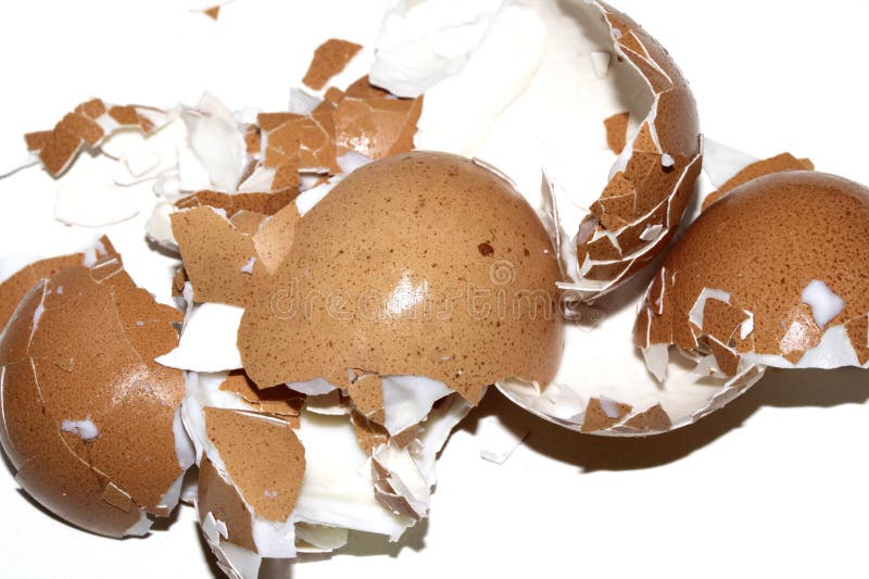 Close Up of a Cracked Peeled Shell Broken Egg on White Background Stock ...