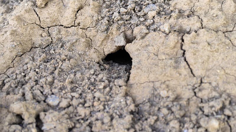 Close-Up of a Cracked Soil Surface with a Hole Stock Image - Image of ...