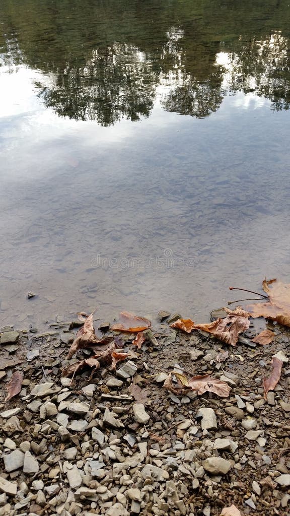 Close up of the creek. stock image. Image of creek, bottom - 45899261