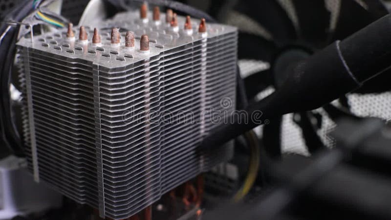 Close-up Cropped Shot of Unrecognizable Technician Male Removing Dust ...