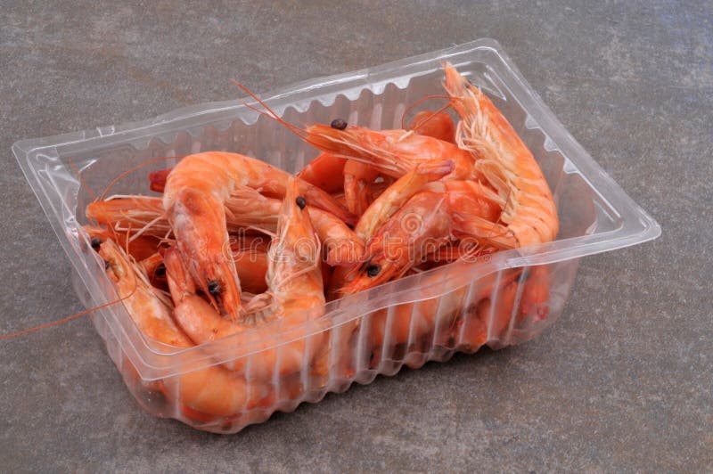 Tray Shrimp Close Up Gray Background Stock Photos - Free & Royalty-Free ...