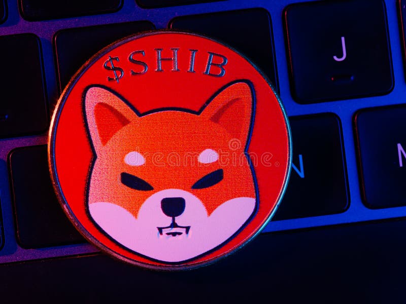 Close-up. Cryptocoin Shibu Ina on the Keyboard of a Personal Computer ...