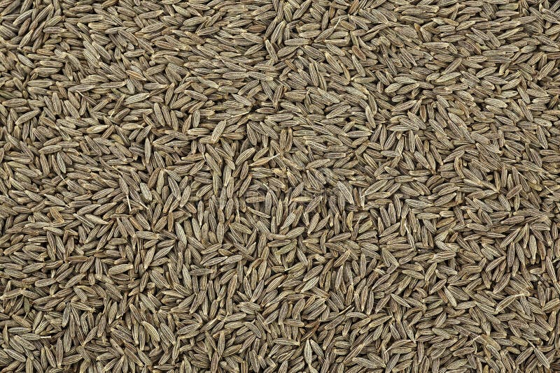 Close Up of Cumin Seeds As Background, Top View. Stock Photo - Image of ...