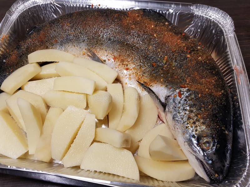 Close Up Curve Running Track Rubber Standard Red Color Stock Image ...