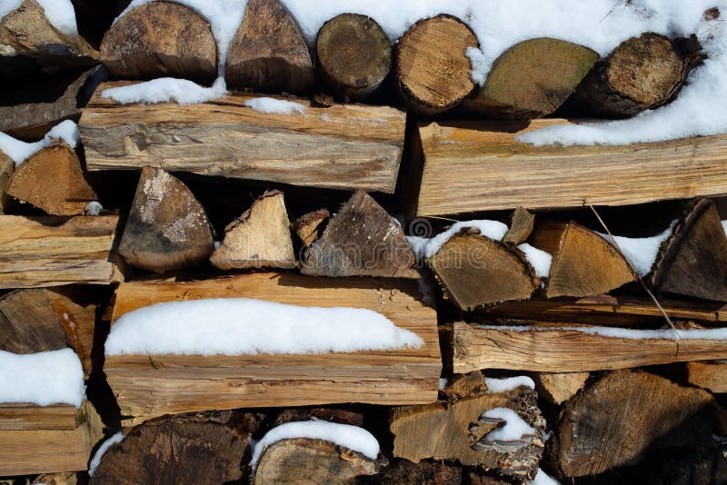Close-up of Cut Tree Logs Covered in Snow Stock Photo - Image of tree ...