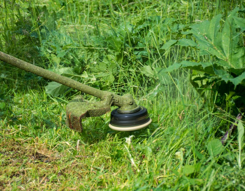 Close Up of Cutting the Grass with Electric Lawn Mower Stock Image ...