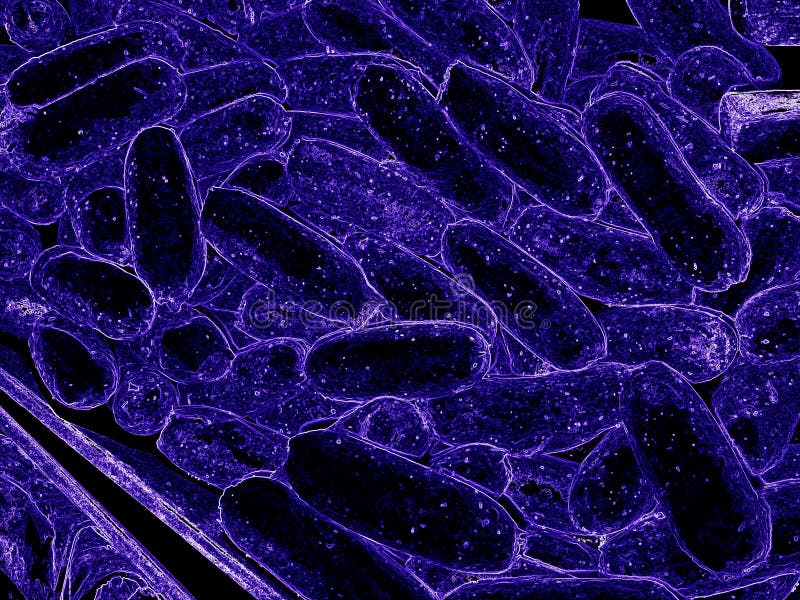 Close Up of 3d Microscopic Blue Bacteria, 3D Rendering Bacteria Closeup ...