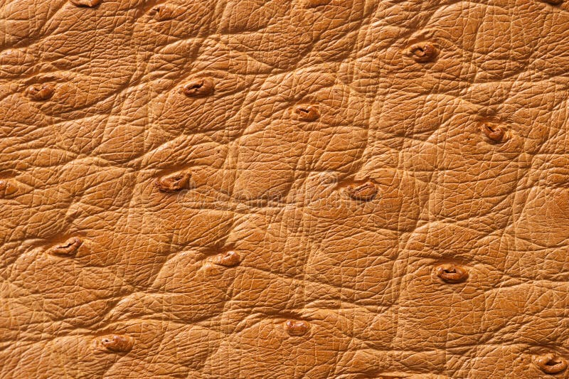 Close Up Da Textura De Couro Bege Sem Emenda Foto de Stock - Imagem de ...