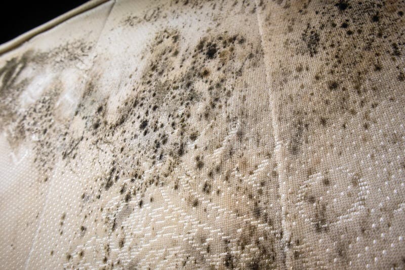 Close Up Danger Black Mold on Bed Sheet Material Stock Image - Image of ...