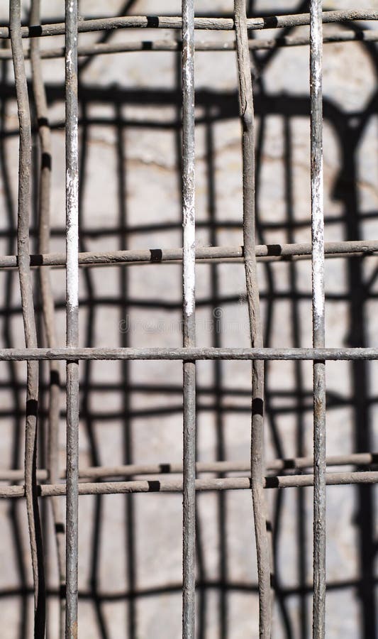 An Intricate Close-up Reveals the Precise Geometric Patterns of a Dark ...