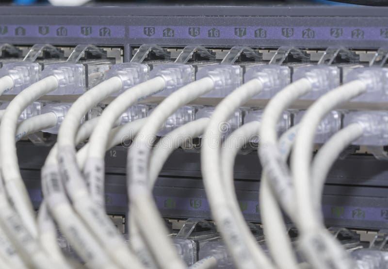 UTP Cat 5 - RJ45 Cables Connector Switch Stock Image - Image of cord ...