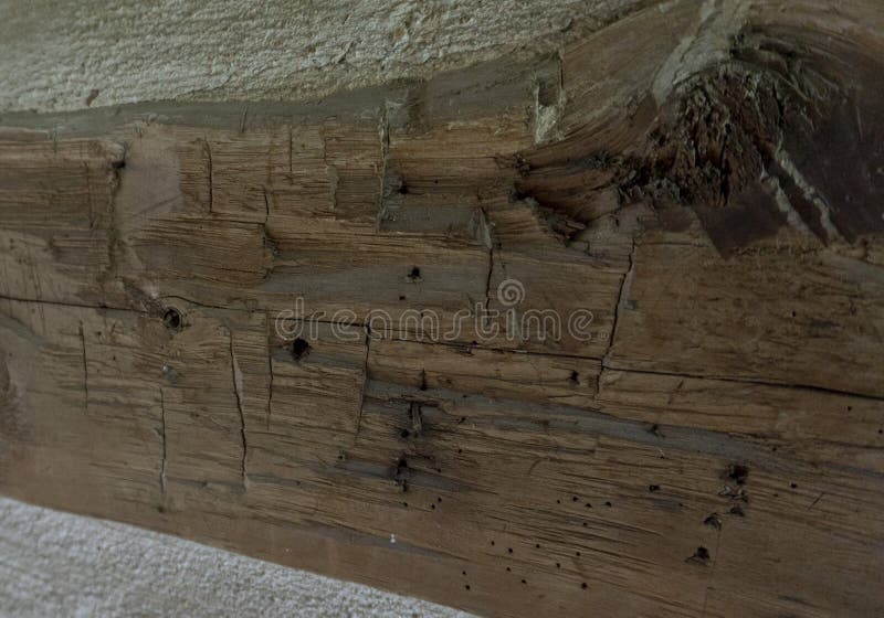 Close-up of Decayed Hand Hewed Log Stock Photo - Image of hewed ...