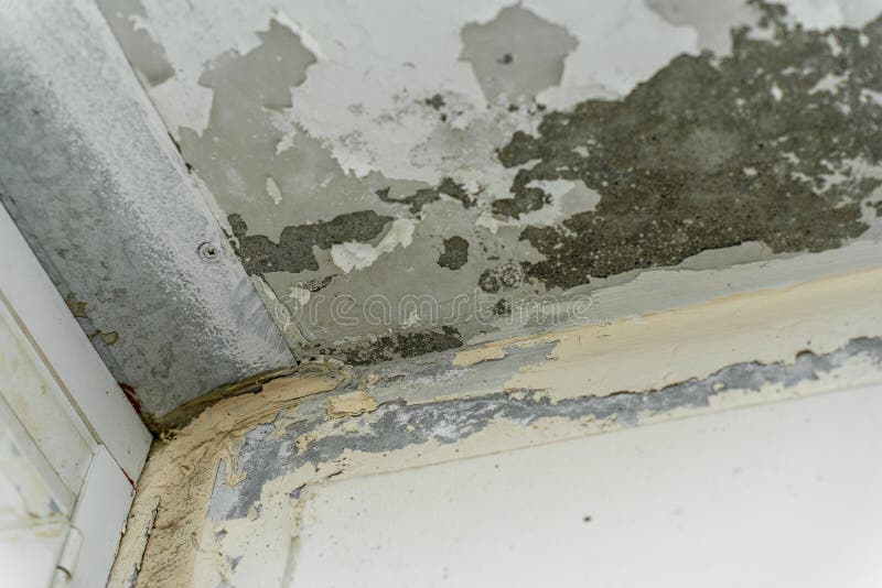 Close-up of a Decaying Ceiling with Peeling Paint, Indicating Water ...