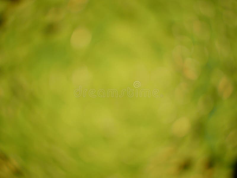 Selective Focus and Defocus Background of Green Light Stock Image ...