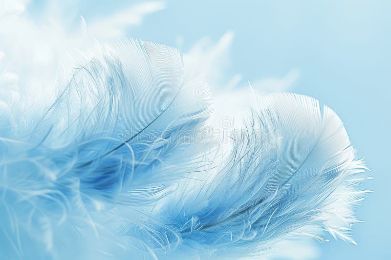 Close-up Delicate Soft Pastel Blue Bird Feathers on Delicate Background ...