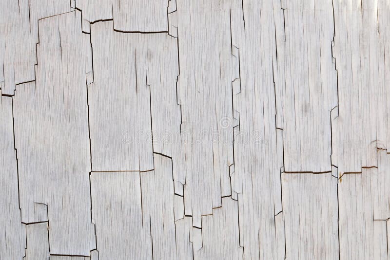 Cracking Crazed Black Cracks on a Worn White Surface Stock Image ...