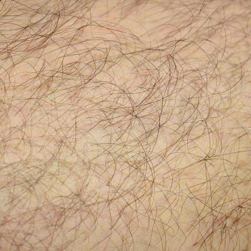 Close Up Detail Of Human Skin With Hair Mans Hairy Leg Stock Image