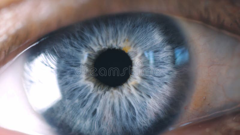 Close-up Detail of Man Eye. Macro Stock Photo - Image of detail ...