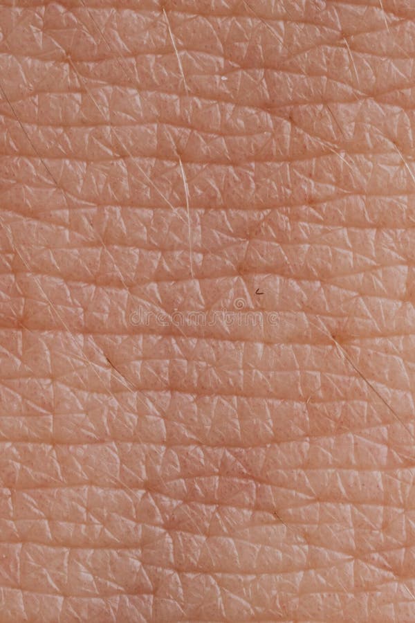 Human Skin Texture Map